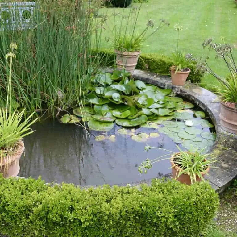 27 Raised Pond Ideas for Small Gardens - Pond Informer