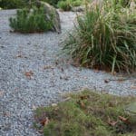 9 Landscaping Methods to Prevent Termites - Pond Informer