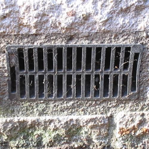 9 Landscaping Methods to Prevent Termites - Pond Informer