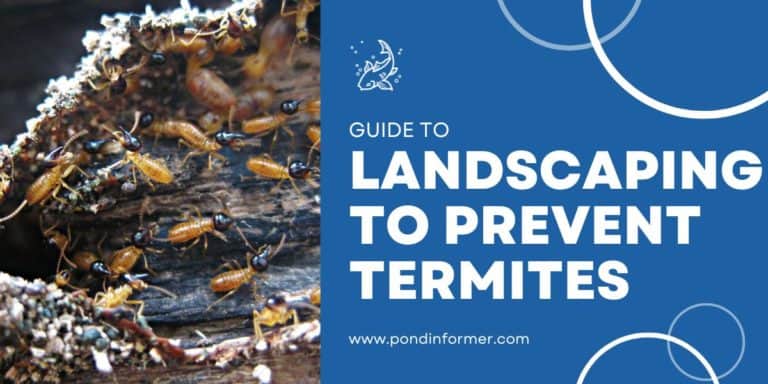 9 Landscaping Methods to Prevent Termites 2023 [Updated] - Pond Informer