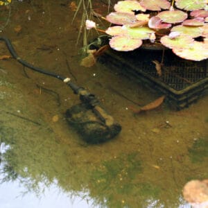 Should You Turn Off Pond Pumps in Winter? (The Facts) - Pond Informer
