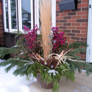 10 Winter Flowers for Containers (Top Picks) - Pond Informer