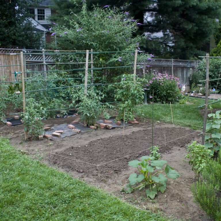 25 Garden Design Ideas on a Budget - Pond Informer