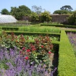 24 Garden Design Ideas for Clay Soil Gardens - Pond Informer