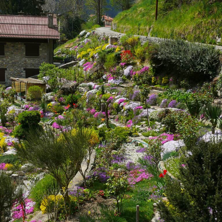 24 Garden Design Ideas for Clay Soil Gardens - Pond Informer