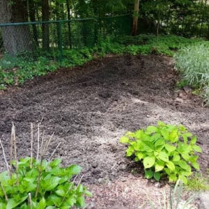 24 Garden Design Ideas for Clay Soil Gardens - Pond Informer