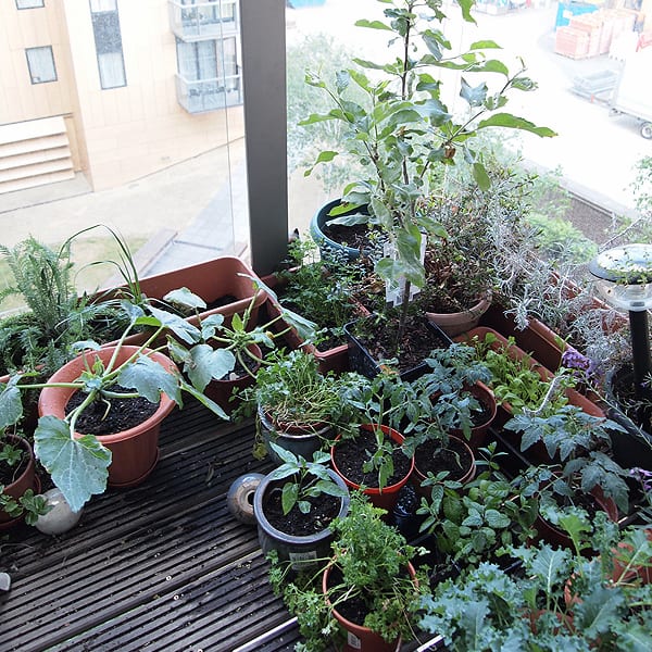 25 Garden Decoration Ideas for Balconies - Pond Informer