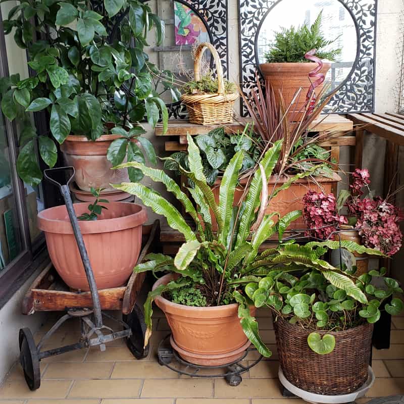 25 Garden Decoration Ideas for Balconies - Pond Informer