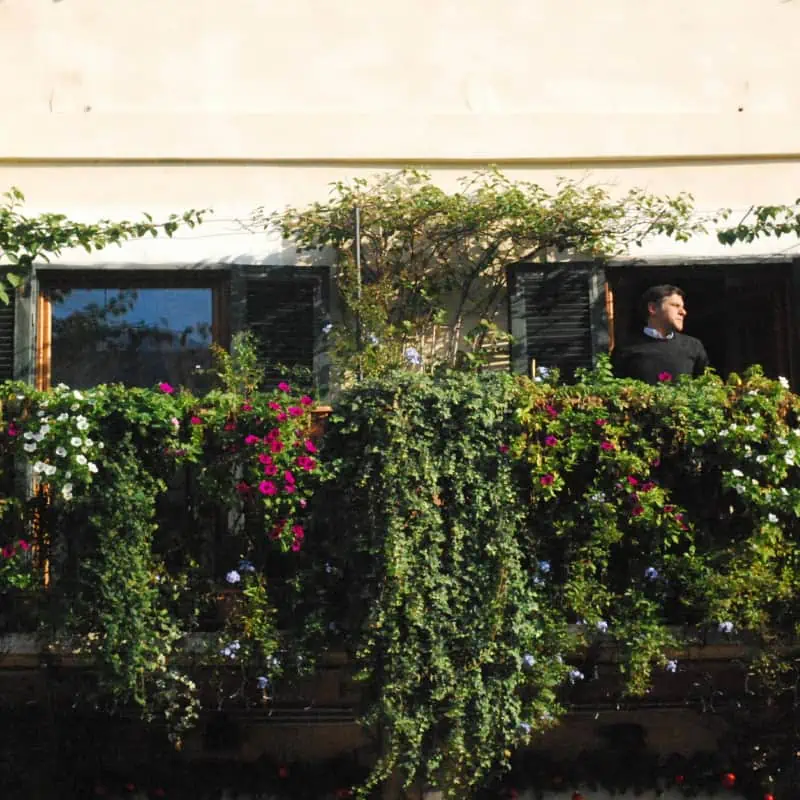 25 Garden Decoration Ideas for Balconies - Pond Informer