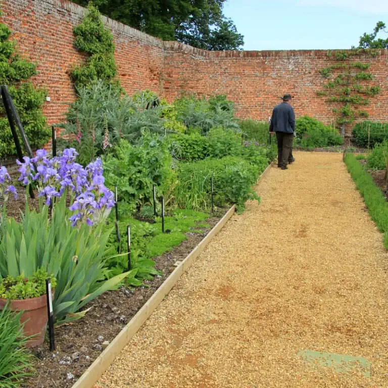 25 Garden Design Ideas for Borders - Pond Informer