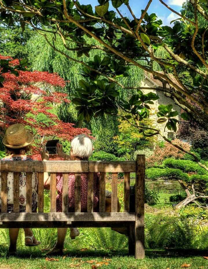 25 Garden Design Ideas for the Elderly