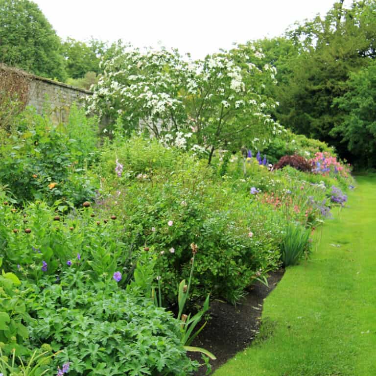 25 Garden Design Ideas for Long & Narrow Gardens - Pond Informer