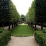 25 Garden Design Ideas for Long & Narrow Gardens - Pond Informer