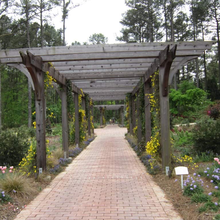 25 Garden Design Ideas for Long & Narrow Gardens - Pond Informer