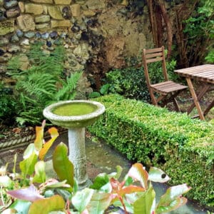 25 Garden Design Ideas for Long & Narrow Gardens - Pond Informer