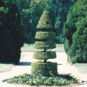 25 Garden Design Ideas for Square Gardens - Pond Informer