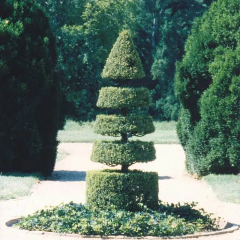 25 Garden Design Ideas for Square Gardens - Pond Informer