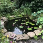 21 Circular Koi Pond Designs - Pond Informer