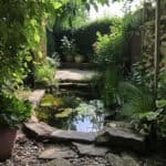 30 Amazing Narrow Koi Pond Designs - Pond Informer