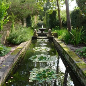 30 Amazing Narrow Koi Pond Designs - Pond Informer
