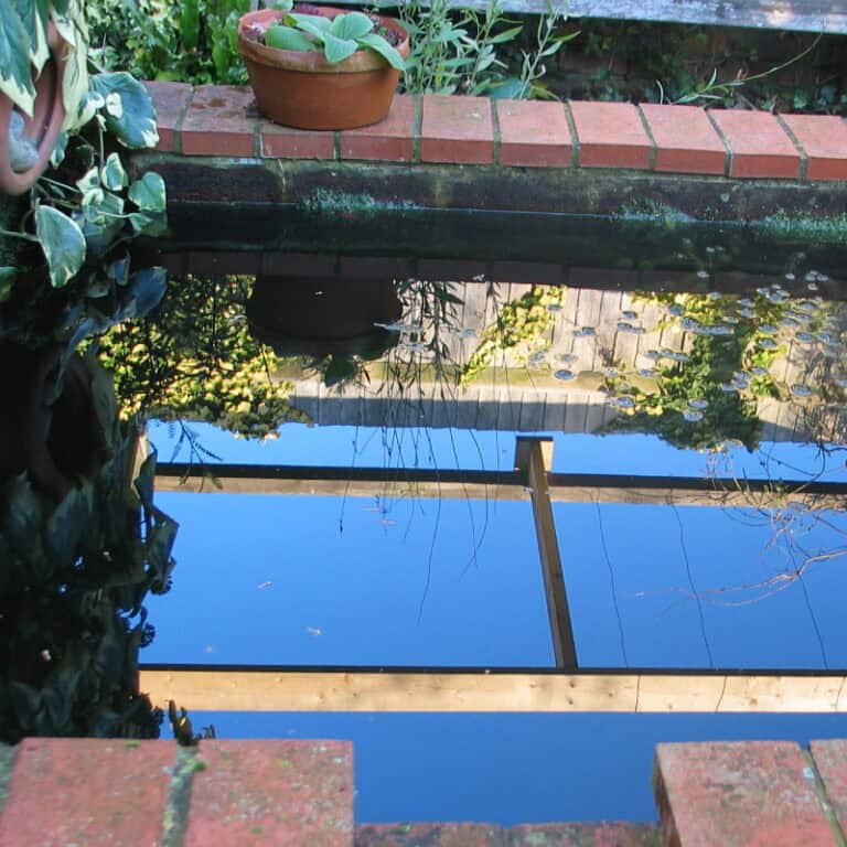 20 Raised Koi Pond Designs (Get Inspired) - Pond Informer
