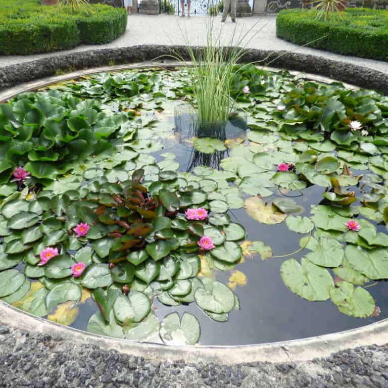 25 Small Koi Pond Designs - Pond Informer