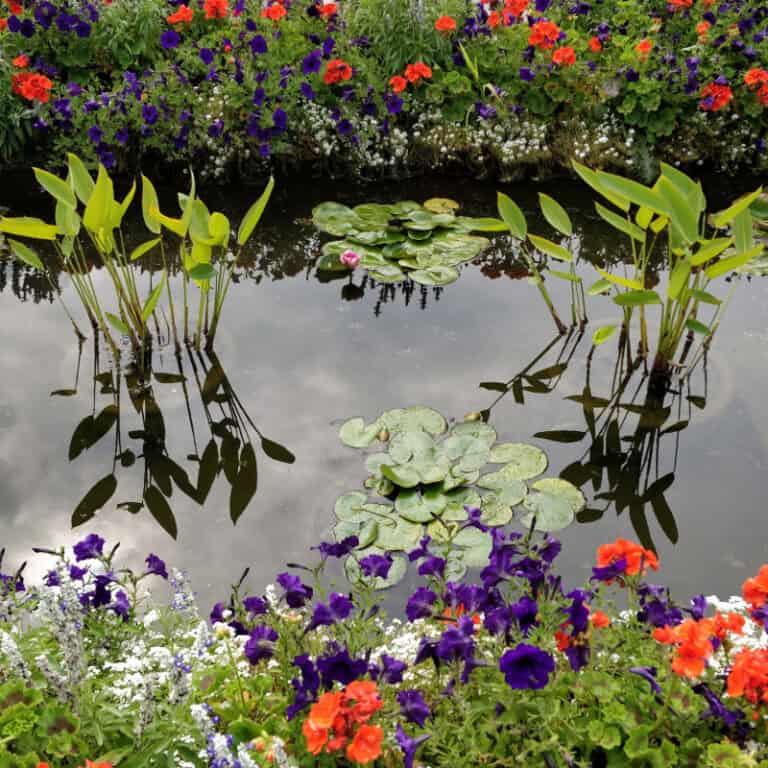 25 Small Koi Pond Designs - Pond Informer