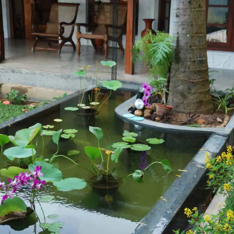 25 Small Koi Pond Designs - Pond Informer