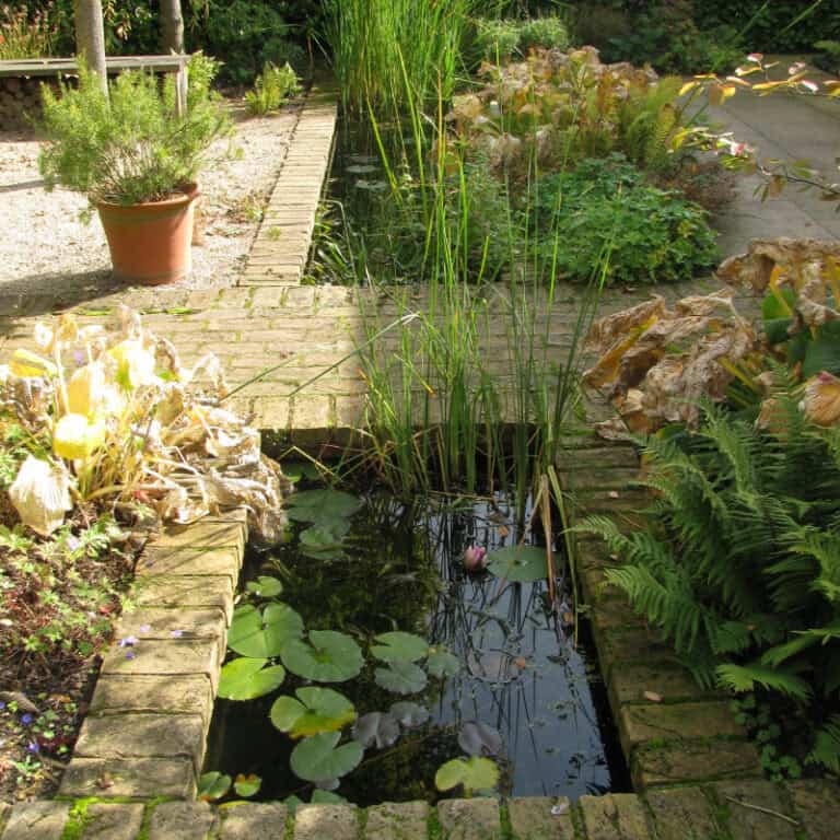 25 Small Koi Pond Designs - Pond Informer