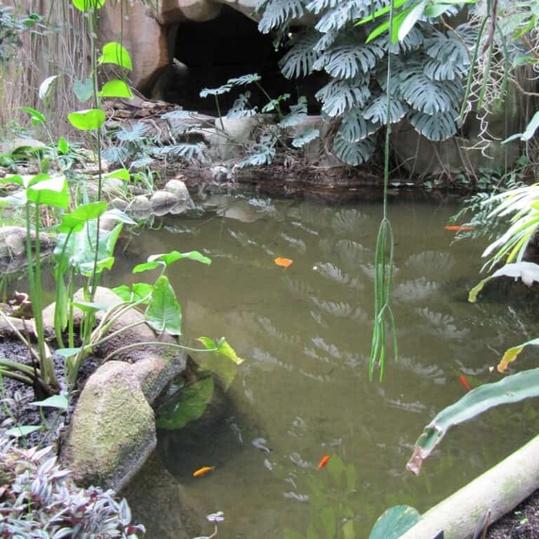 25 Small Koi Pond Designs - Pond Informer