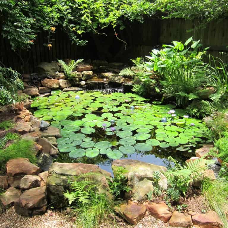 24 Small Wildlife Pond Designs (Eco-friendly) - Pond Informer