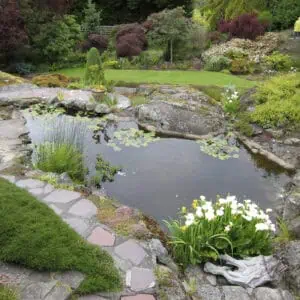24 Small Wildlife Pond Designs (Eco-friendly) - Pond Informer