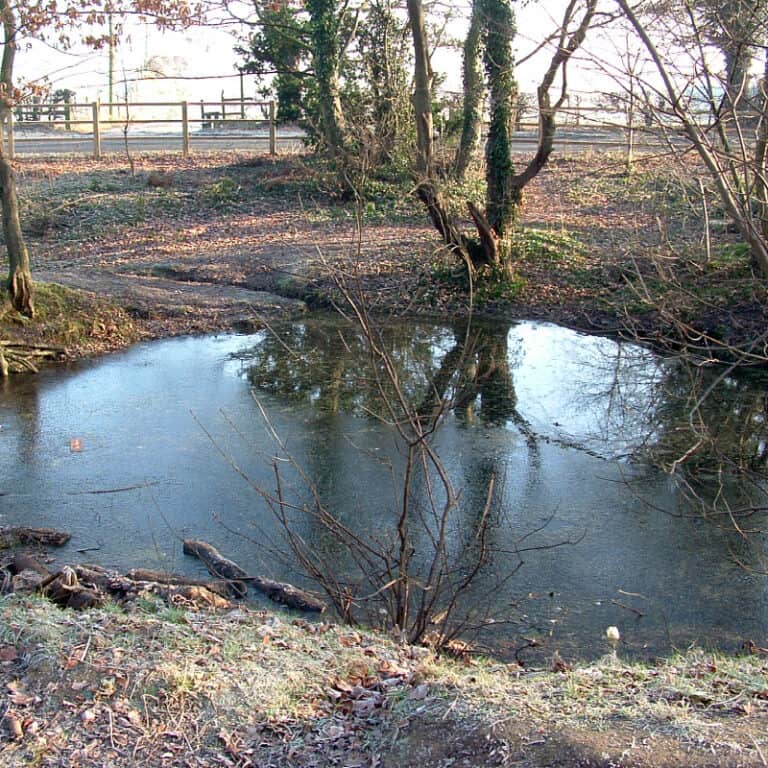 24 Small Wildlife Pond Designs (Eco-friendly) - Pond Informer