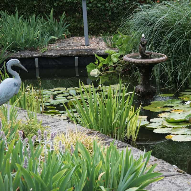 20 Heavily Planted Pond Designs - Pond Informer