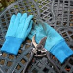 When to Prune Gardenias (Optimal Times) - Pond Informer