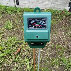 When to Prune Gardenias (Optimal Times) - Pond Informer