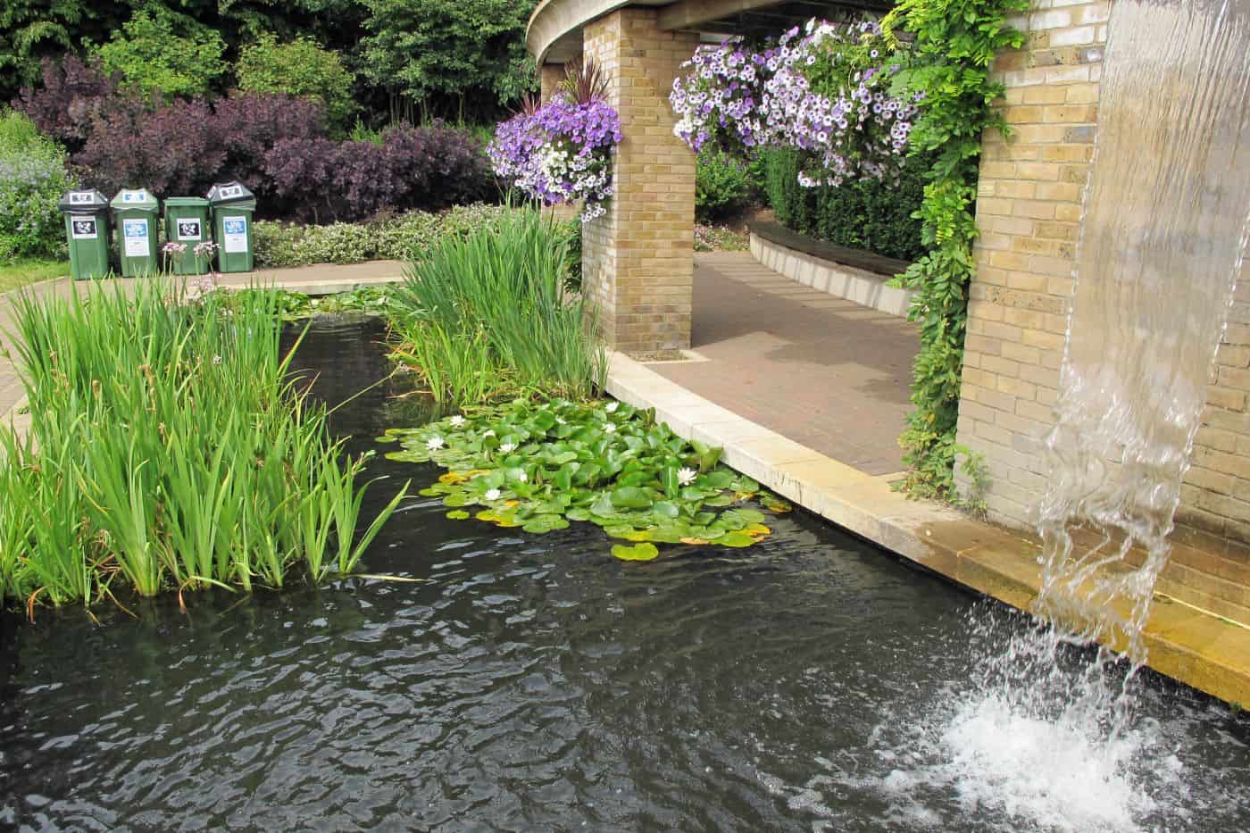 Home - Pond Informer